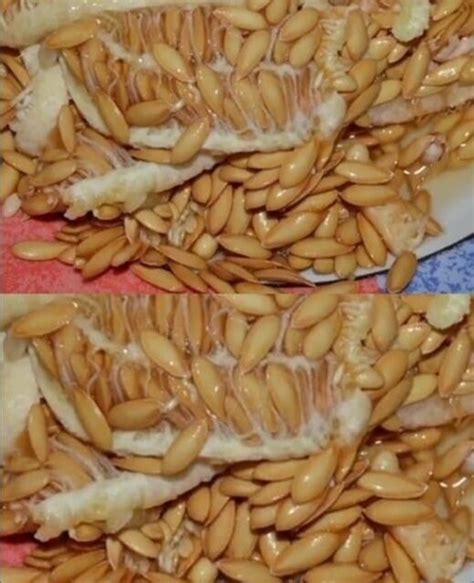 Никогаш не фрлајте ги овие семки Najubavite Misli