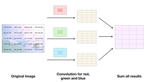 Convolutional Neural Networks Weights And Biases