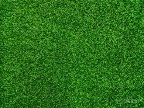 Green Grass Texture Background Grass Garden Concept Used For • Wall