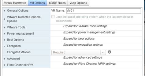 Just One More Esxi Guy Encrypted VMotion