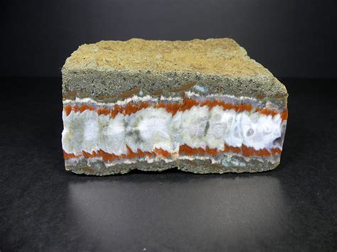 Agate Catalog Nova Scotia Agate