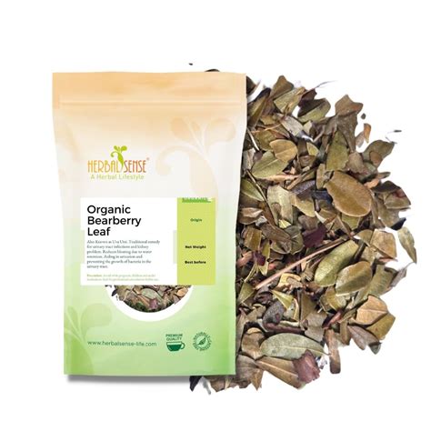 Bearberry Leaves Uva Ursi Herbal Sense Life — A Herbal Lifestyle Herbal Tea Spiritual