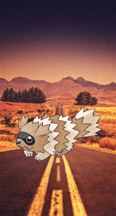 Zigzagoon Shiny Wallpaper Shiny Wallpaper Country Roads Wallpaper