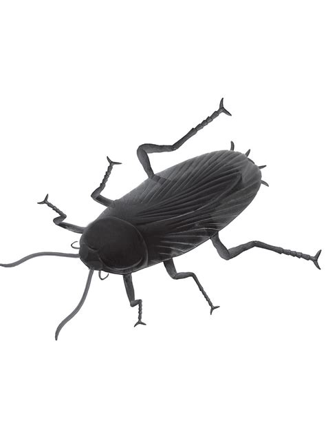 30cm Giant Cockroach Giant Black Cockroach Decoration