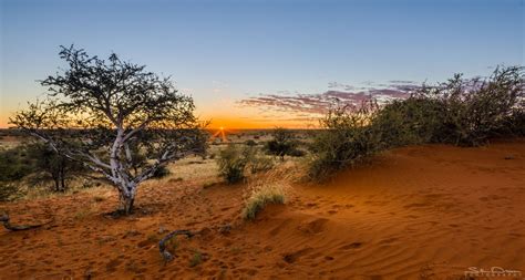 Kalahari Desert Sunset Kalahari Desert Photos Images And Pictures