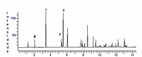 Chromatogram Obtained For The Extraction Through Headspace Of A Sample