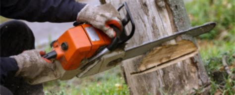 Tree Service Louisville Ky Free Estimates Sts Tree Services