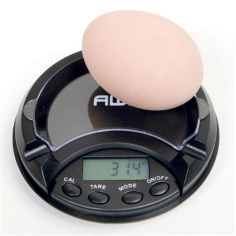 Digital Egg Scale