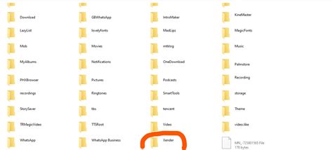 Image How Can I Access Files In A Particular Directory In My Flutter