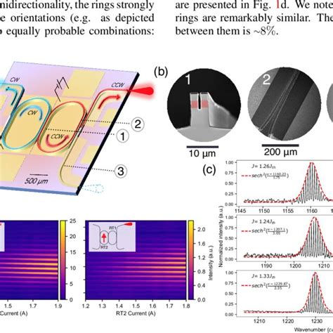 A Diagram Of The Photonic Molecule Circuit Illustrating A Typical Download Scientific