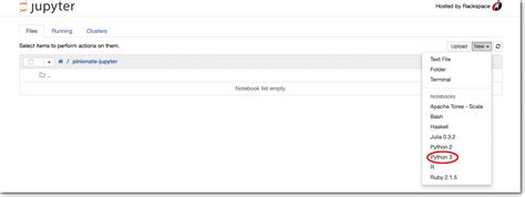 Ipython And Jupyter For Enhanced Selenium Testing Shakuro