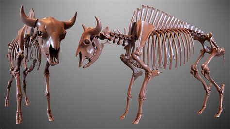 Yacine Brinis Modern Bison Skeleton 3d Model Product Discussion Epic Developer Community