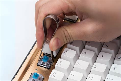 How To Test Mechanical Keyboard Switches Robots Net