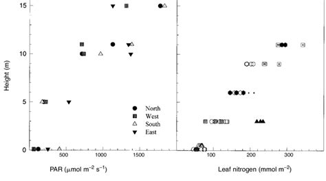 Distribution Of Photosynthetic Active Radiation Par And Leaf Nitrogen
