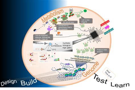 Yeast Engineering Centre For Agriculture And The Bioeconomy