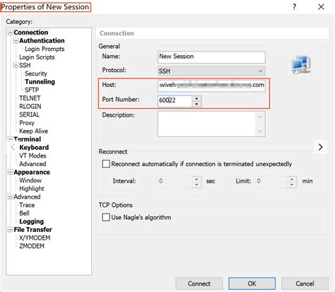 perform oandm operations on assets by connecting to a bastion host from