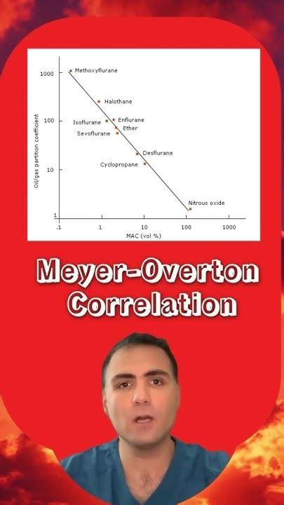 Meyer Overton Correlation Youtube