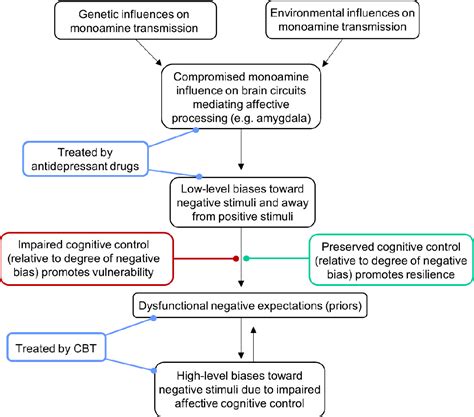 Figure 55 From The Role Of Dorsolateral Prefrontal Cortex Dysfunction