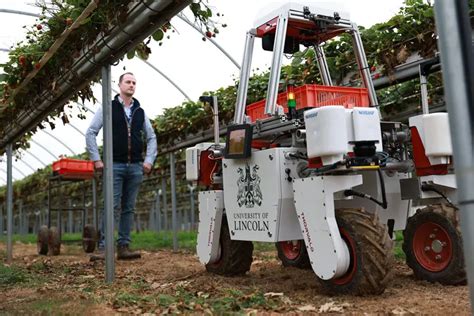 Fruit Picking Robots Ingenia