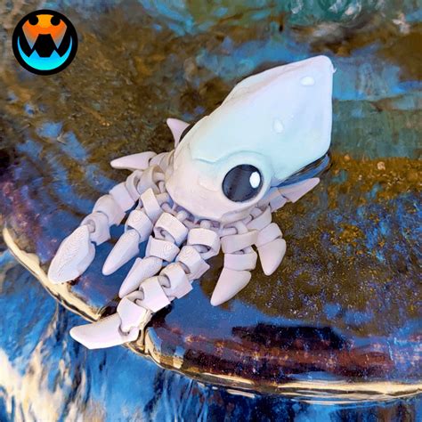 Tiny Squid 3d Model By Cinderwing3d On Thangs
