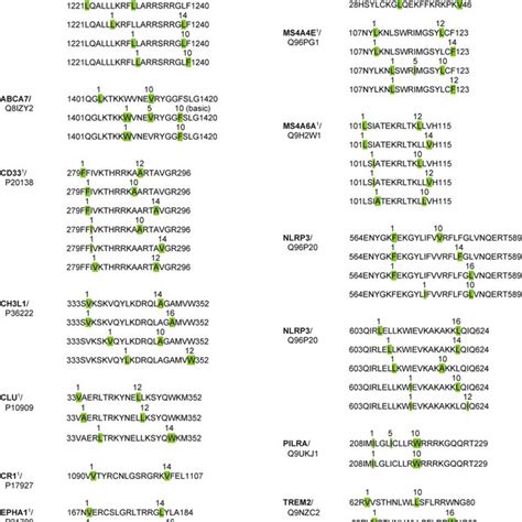 Calcium Dependent Calmodulin Binding Domains And Motifs Identified In Download Scientific