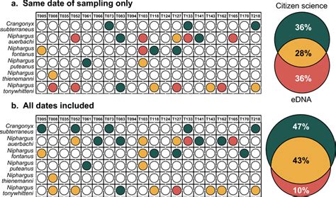 amphipod detection efficiency of edna metabarcoding before removing