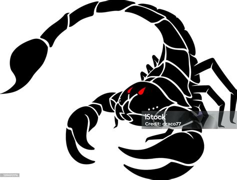 전갈 찌르기 공격 검은색에 대한 스톡 벡터 아트 및 기타 이미지 검은색 공격성 기어가기 Istock