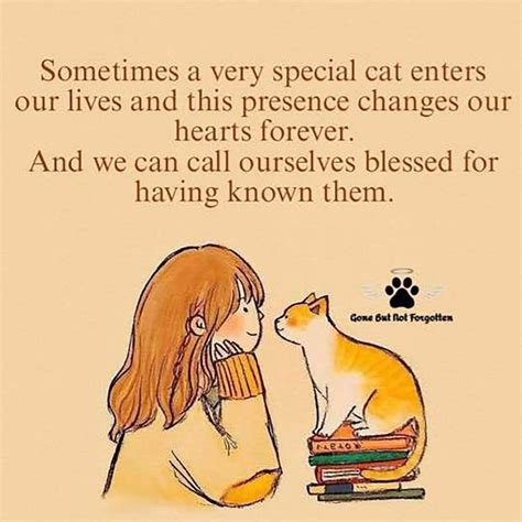 Pin By Heather Steinmiller On Creatures And Cuties I Miss My Cat Cat