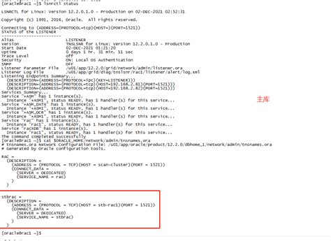 Rman 04006 Error From Auxiliary Database Ora 12537 Tnsconnection