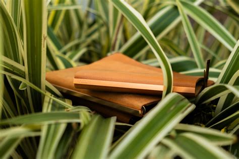 Into The Wild With Plotter X Horween Predator Amber Leather Plotter Usa