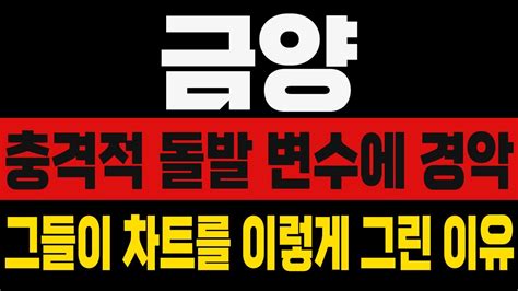 금양 주가전망 🚨필수시청🚨 충격적 돌발 변수에 경악🔥🔥 그들이 차트를 이렇게 그린 이유 Youtube