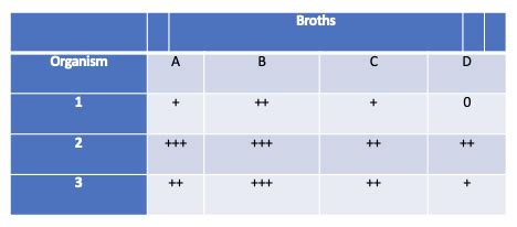 Midterm Lab Practical Flashcards Quizlet