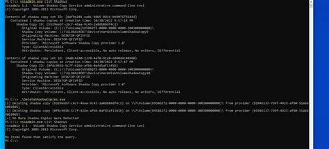 GitHub NUL0x4C DeleteShadowCopies Deleting Shadow Copies In Pure C