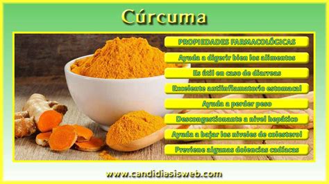 Plantas Medicinales Cúrcuma