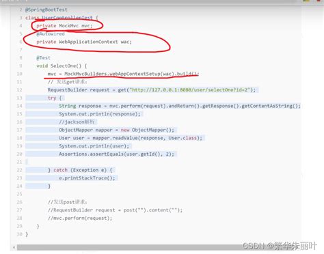 开发的测试必备 junit5和mockandandpostman和jmeter mock单元测试 csdn博客