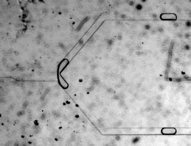 Droplet Based Microfluidics Microfluidics Lab