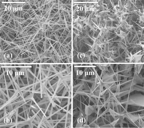 SEM Images Of ZnO Nanotetrapods Obtained A B On SiO 2 Si Download Scientific Diagram