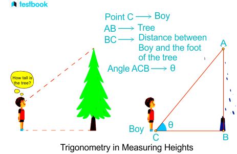 Applications Of Trigonometry In Real Life Uses And Practical Examples