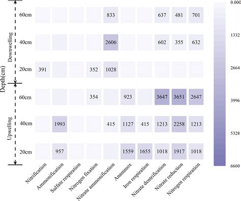 Microbial Function Prediction Faprotax Database Download Scientific