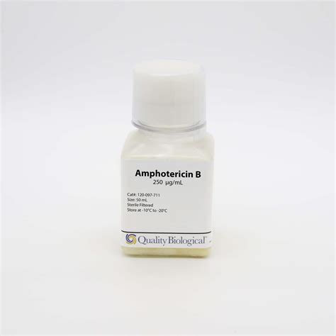 Buy Amphotericin B Solution 250 µgml Quality Biological