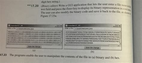 Solved Digit Hex String Binary Editor Write A Gui
