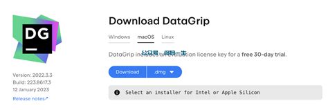 Datagrip 202233 最新破解教程 永久激活码 注册码破解码 Ide激活网