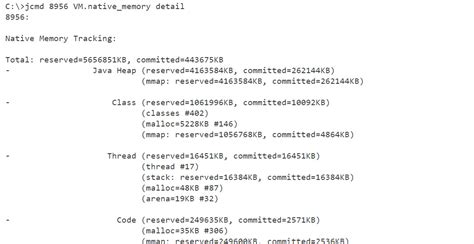 programming for beginners java jcmd print native memory usage