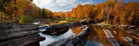 Michigan Massage License Mblexguide