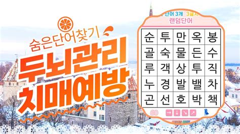 2024 무료 치매 예방 프로젝트 숨은단어찾기 치매예방 퀴즈 초성퀴즈 단어퀴즈 두뇌운동 뇌건강 치매테스트