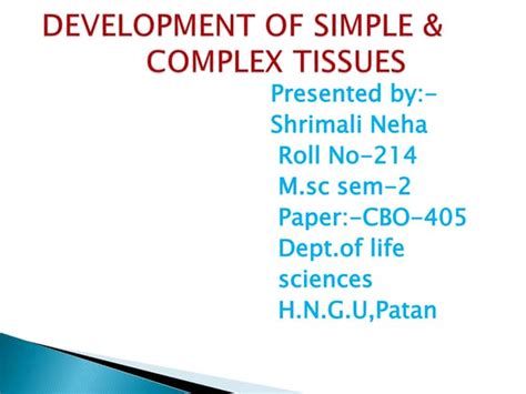 Simple And Complex Tissue Pptx