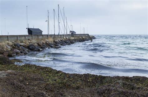 Comwell Borupgaard In Snekkersten Aanbiedingen Hotel Specials