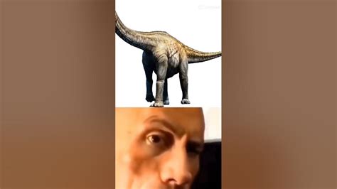 Nigersaurus Edit Youtube