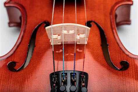 흰색 바탕에 바이올린입니다 흰색 배경에 슬픔 바이올린 Classical Concert에 대한 스톡 사진 및 기타 이미지 Classical Concert