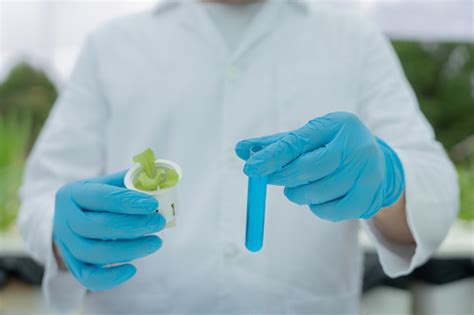 유기농법 샐러드 농장 과학 농부들은 농작물 잔류 물을 확인하고 심는 동안 수질 상태를 점검하고 있습니다 수경법 야채 생태 생물학 건강한 채식주의자 생태학 25 29세에 대한